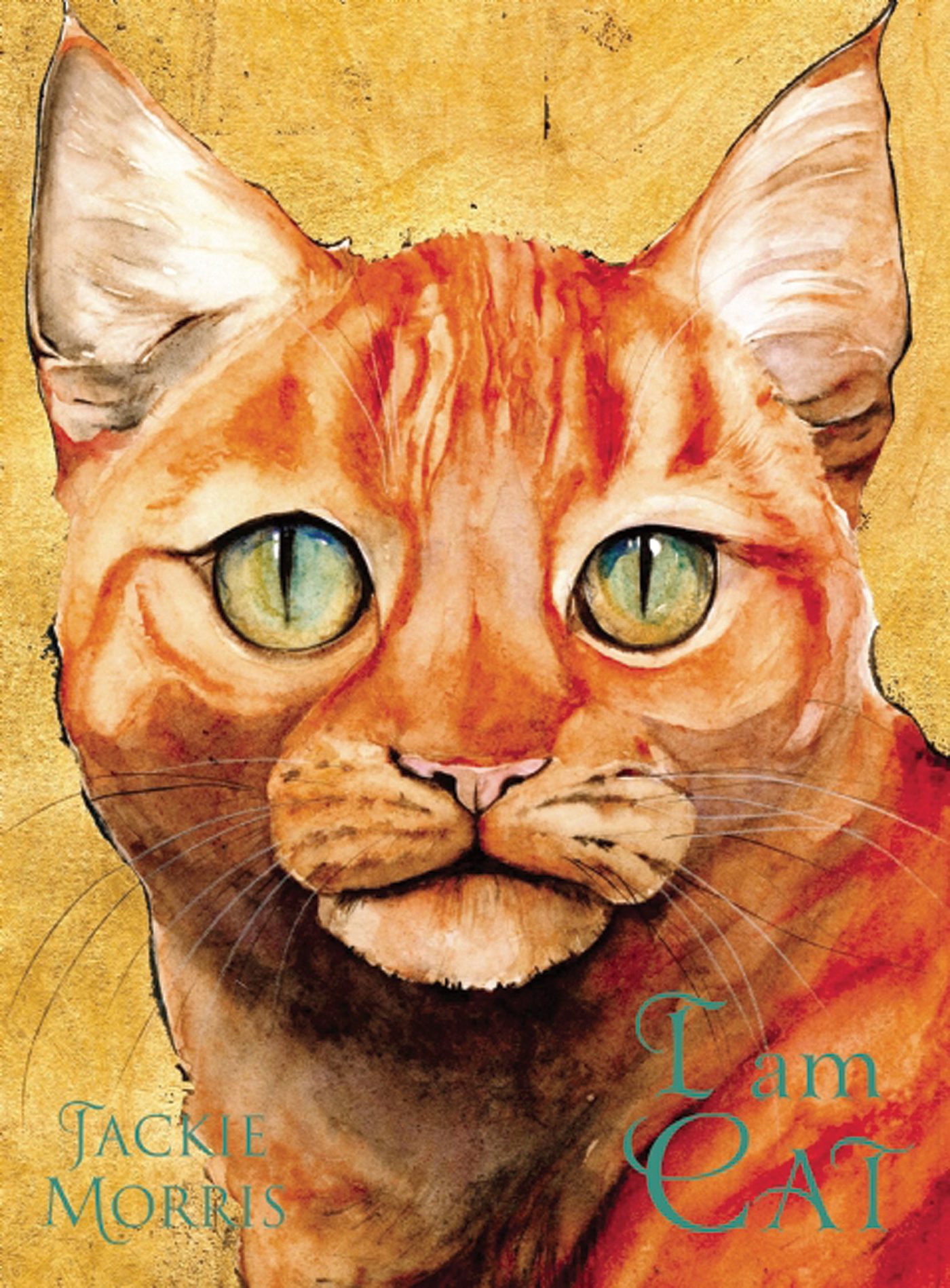 I am Cat - David Higham Associates